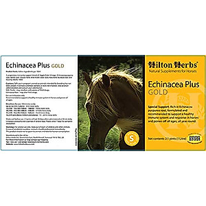 Hilton Herbs Echinacea Plus Gold Liquid Herbal Immunity Supplement for Horses, 2.1pt Bottle