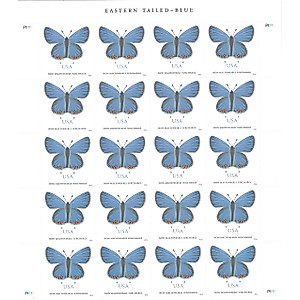 Eastern Tailed-Blue - Sheet of 20 Non-machinable Rate Postage Stamps Scott 5136