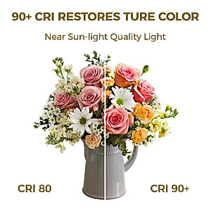 Hizashi E12 Candelabra Bulb 60 watt Equivalent, 2700K Soft Warm White, Dimmable Chandelier Light Bulbs, 90+ CRI 6W 550LM, CA11 Flame Tip E12 LED Candle Bulb, UL Listed,12 Pack