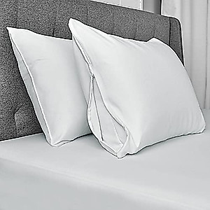 Royale Linens Waterproof Queen Pillow Protector 2 Pack - 20x30 Inches - Pillow Encasement - 100% Microfiber - Zippered Closure - Pillow Case - Smooth & Breathable (Queen, Pack of 2, White)