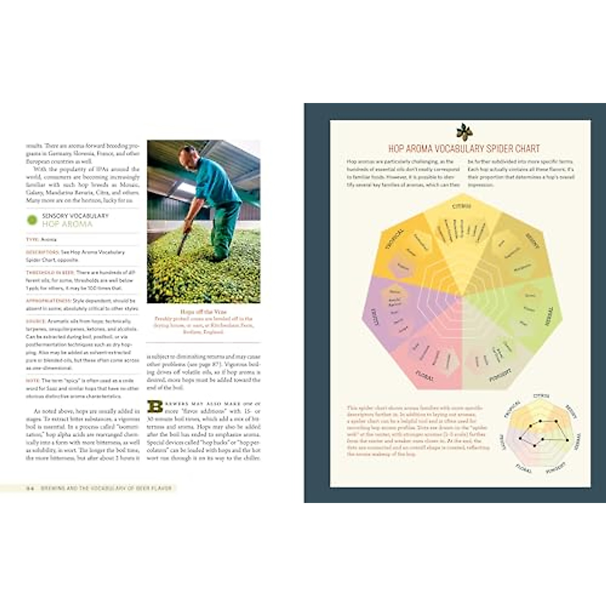 Tasting Beer, 2nd Edition: An Insider's Guide to the World's Greatest Drink