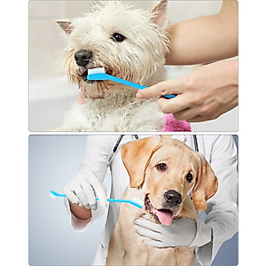 QWORK Double-Headed Pet Toothbrushes for Dogs and Cats, 8.66" Length, Soft Nylon Bristles, Blue, Dental Care Cleaning Kit for Pets, 200 Pcs