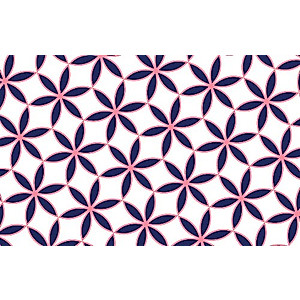 Carseat Canopy Whole Caboodle - Kendra