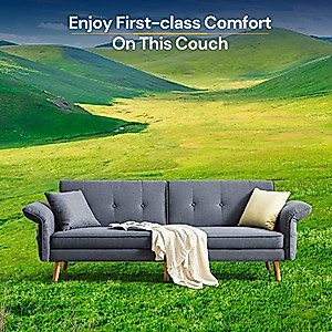 DENOSEN First-Class Cabin Futon Couch Bed with Convertible Back and Armrests, Includes 2 Free Pillows and Supports Up to 600lbs: Modern 3 Seater Sleeper with Wooden Leg Sofabed, Grey