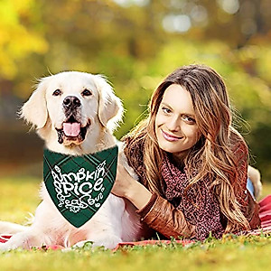 4 Pieces Thanksgiving Dog Bandana Fall Plaid Bandanas for Small to Large Dogs Puppy Cat Pet Triangle Bandana Scarf Adjustable Holiday Dog Bandana Bibs Party Costume