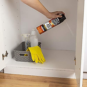 Hot Shot Ant Killer Plus Aerosol, Unscented, Kills On Contact