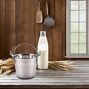 Lindy's 1-Quart Stainless Steel Bucket, Durable Seamless Bucket for Many Home Tasks, Carry Water or Milk, Fill with Food, Use as a Flower Pot, Cleaning Bucket, Table Centerpiece and Much More