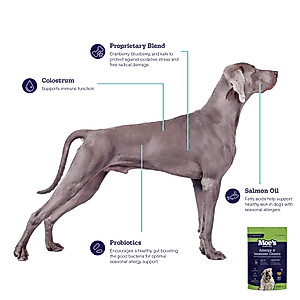 Moe’s Allergy and Immune Support for Dogs- Supports Anti-Itch, Seasonal Allergies- Omega 3 Wild Alaskan Salmon Fish Oil- Dog Allergy Treatment, Skin Health- Made in USA- 90 Chews (Peanut Butter)