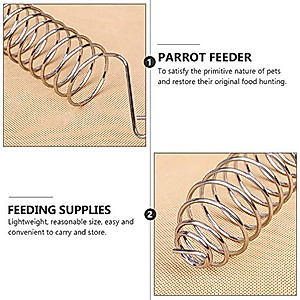 Balacoo Parrot Food Holder Stainless Steel Parrot Foraging Toy Bird Hanging Food Basket for Birds Food Fruits Basket Millet Feeding Device