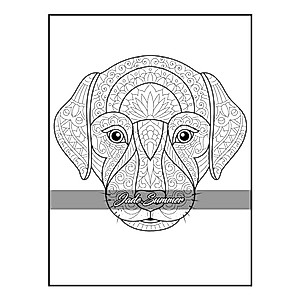 100 Animals: An Adult Coloring Book with Lions, Elephants, Owls, Horses, Dogs, Cats, and Many More!