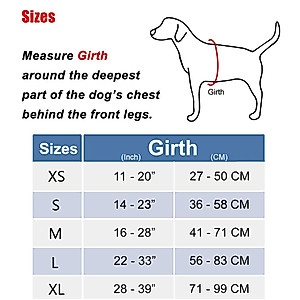 PoyPet No Pull Dog Harness, Reflective Comfortable Vest Harness with Front & Back 2 Leash Attachments and Easy Control Handle Adjustable Soft Padded Pet Vest for Small to Large Dogs (Purple,M)