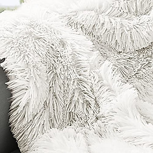 Hyde Lane White Fluffy Throw Blanket for Couch ，2 Way Reversible Ultra Soft Long Faux Fur Fuzzy Plush Blankets for Home，As A Gift for Women -50x60 Ivory