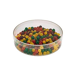 Pioneer Plastics 175C Clear Round Plastic Container, 6" W x 1.5" H, Pack of 4