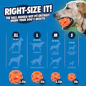 Chuckit Air Fetch Ball Dog Toy, Large (3 Inch Diameter), for dogs 60-100 lbs