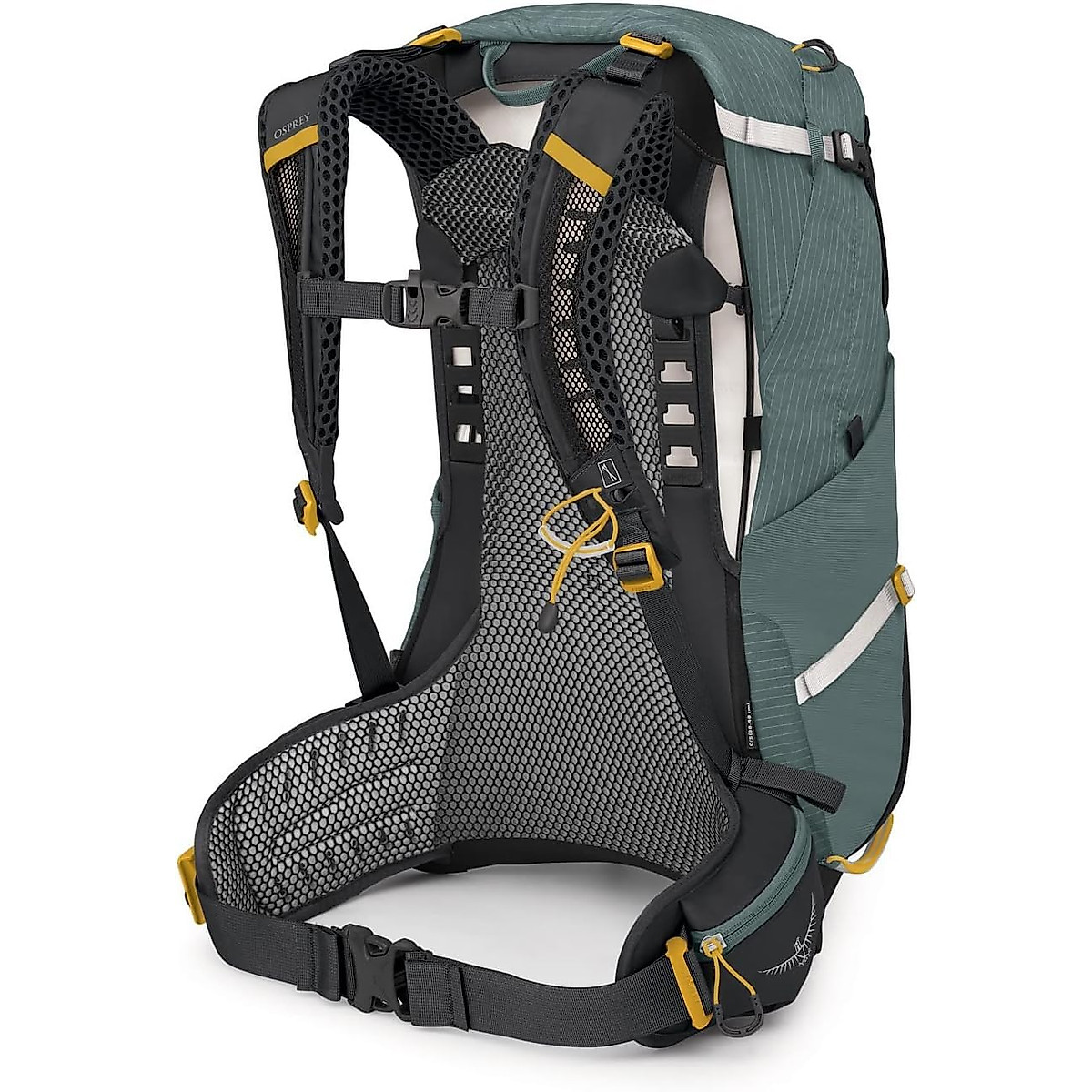 Osprey Sirrus 24L Women's Hiking Backpack, Succulent Green