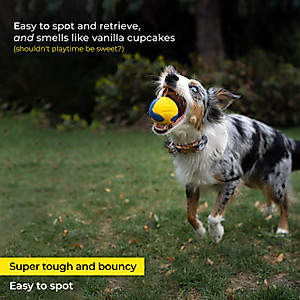 BULLTUG - Chew Ring & Fetch Ball Combo for Aggressive Chewers | Heavy-Duty, Ultra-Durable Natural Rubber, Tough Dog Toys for Medium to Large Breeds