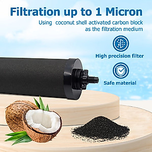 Larayci Water Filter Replacement for Berkey® BB9-2 Black Activated Carbon Filters, Compatible with Berkey® Gravity Water Filter System, Pack of 4