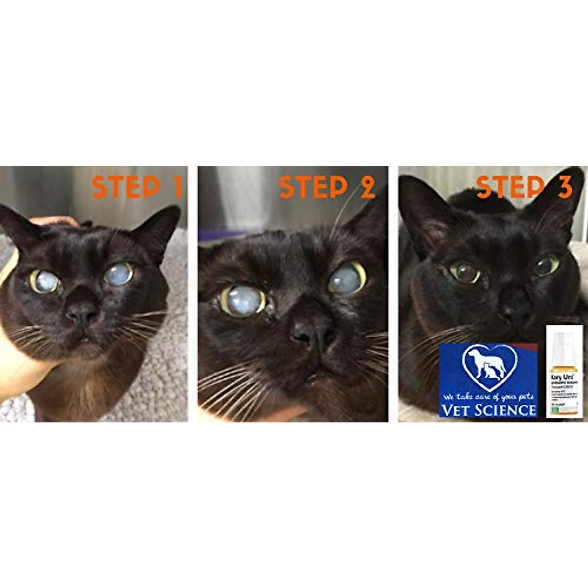 KARRYUNI X2 Pcs 10 ML, Best Pet Eye Drops Cataracts & People Exact Result, Safe & Gentle Formula, Promotes Eye Clarity & Dryness Eye in PPL Pets & All Animals Dogs, Cats Pet Care Eye Ointment Drops