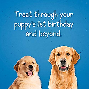 Purina Puppy Chow Training Treats, Healthy Start Salmon Treats - 24 oz. Pouch