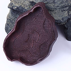 POPETPOP Reptile Food Bowl Water Dish - Resin Reptile Food and Water Feeding Bowl, Reptile Food Container Feeder for Tortoise Lizard Snake Frog Gecko, Pet Breeding Tray