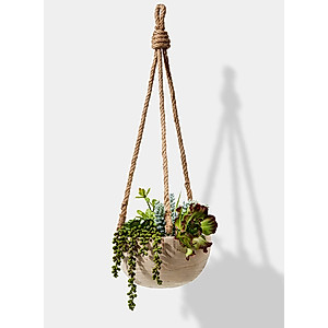Serene Spaces Living Paulownia Hanging Wood Bowl with Jute Rope, Hanging Faux Succulent and Artificial Plants, Ideal for Home, Garden, Office Decor, Measures 4.5" Tall and 9.25" Diameter