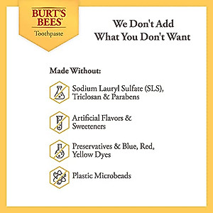 P&G-Burts Bees Toothpaste Purely White 4.7 Ounce Zen Peppermint (Pack of 2)