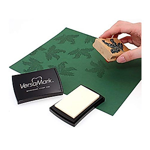 Tsukineko VM000001 Full-Size VersaMark Pigment Inkpad, 3-Inch X 2-Inch, Clear