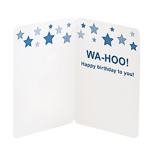 Hallmark 13" Large Gift Bag with Birthday Card and Tissue Paper (Blue with Stars, Birthday Boy)