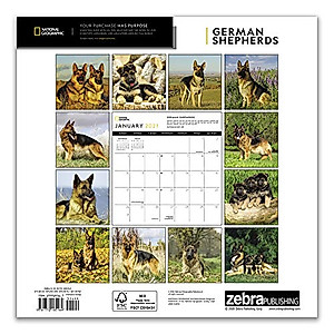 National Geographic German Shepherds 2021 Wall Calendar