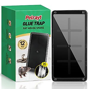Ultra-Efficient Glue Mouse & Rat Traps -12 Pack Large Heavy Duty Glue Traps for Safe Home Pest Control. Pre-Baited, Non-Toxic Sticky Boards for Mice, Rats & More. Easy to Use