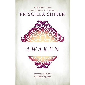 Awaken: 90 Days with the God who Speaks