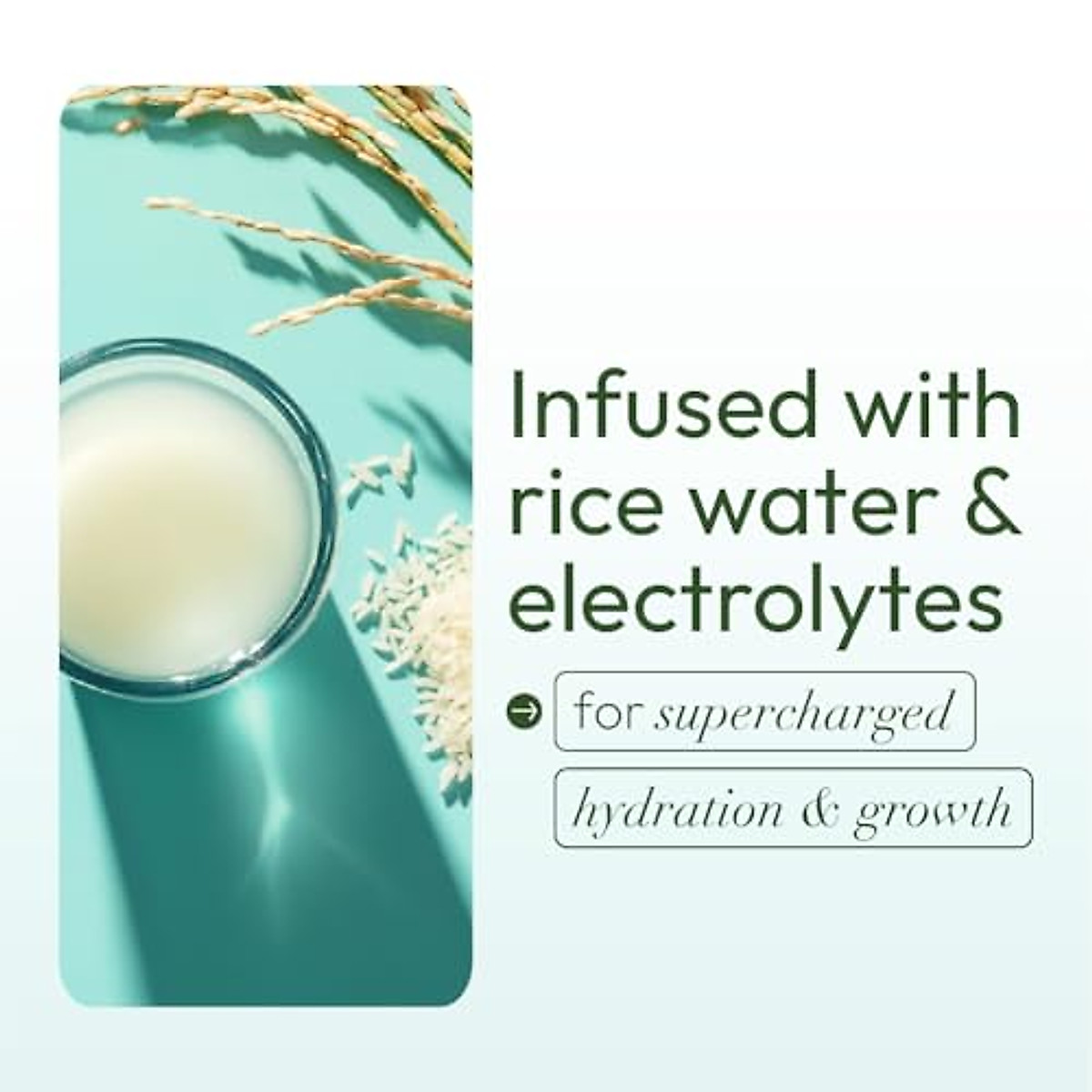 ORS Olive Oil Max Moisture Leave-In Conditioner with Rice Water and Electrolytes for Supercharged Hair Hydration 16.0 Ounce (1)