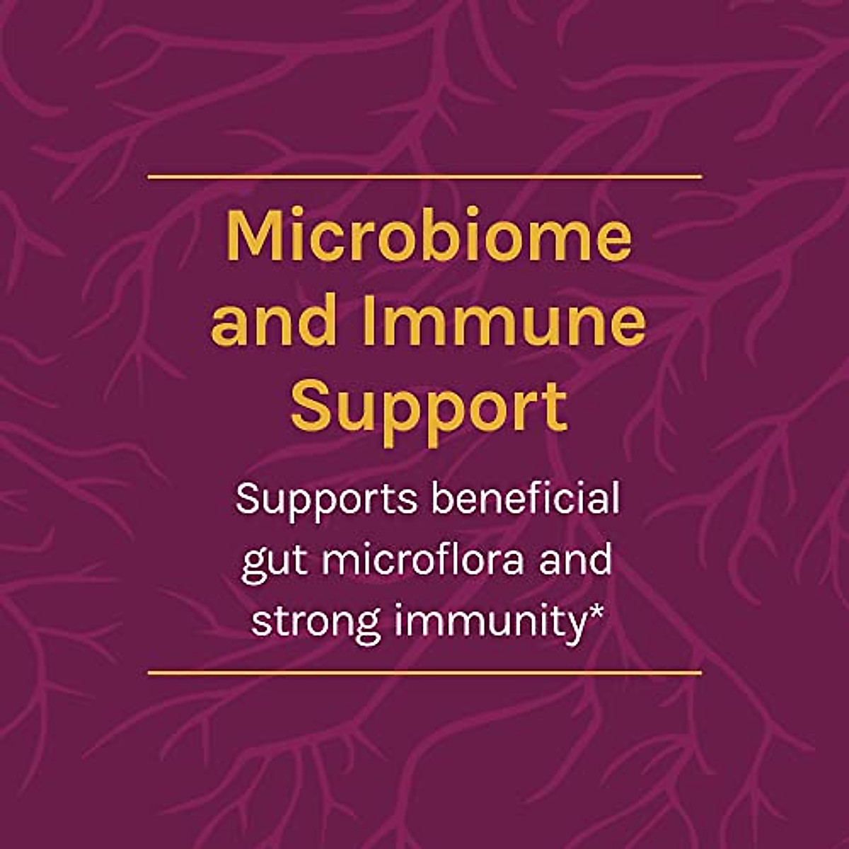 Host Defense, Turkey Tail Mushroom Powder, Supports Immune Health, Mushroom Supplement, Plain, 3.5 Ounce (Pack of 1)