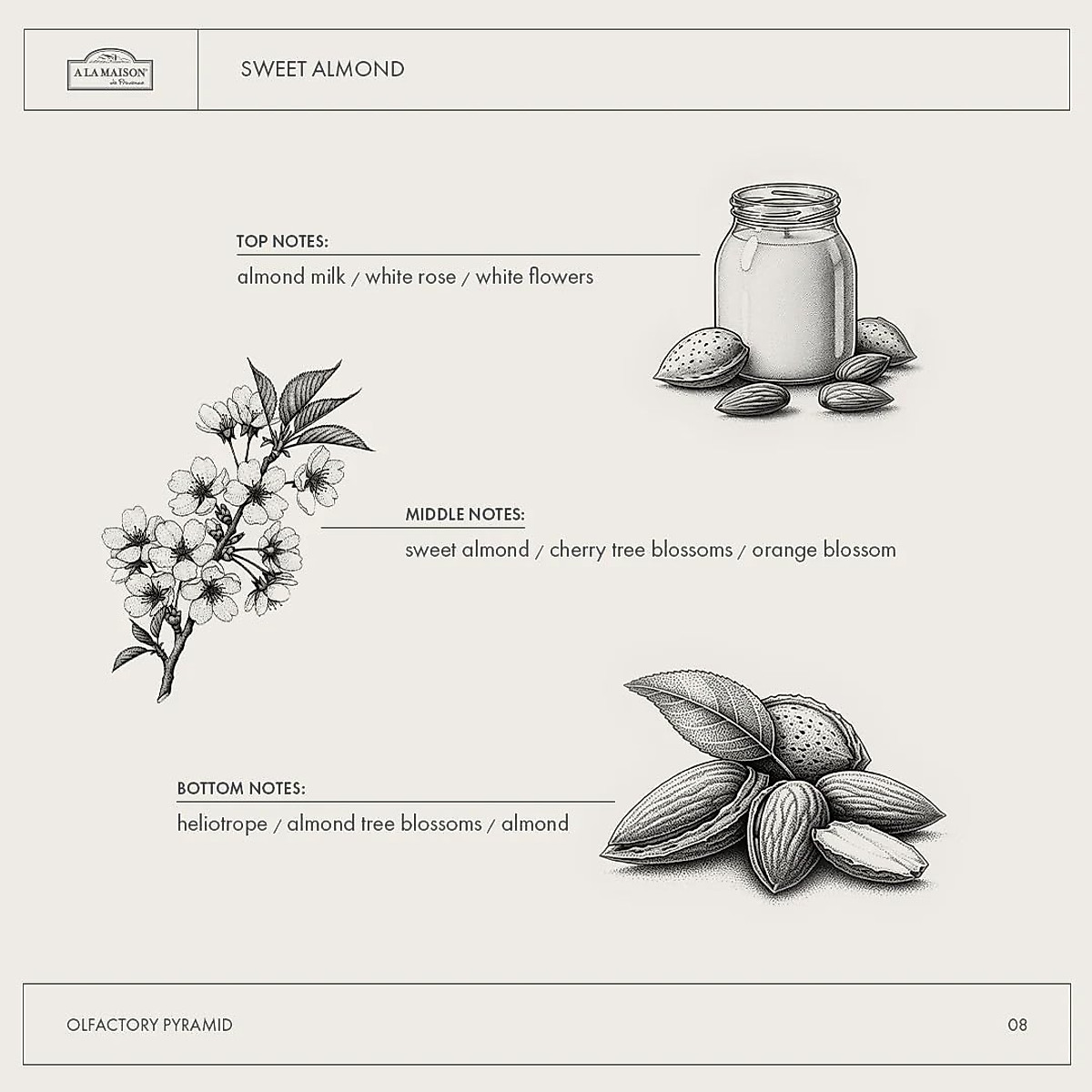 A LA MAISON Sweet Almond Bar Soap - Triple French Milled Natural Moisturizing Hand Soap Bar (4 Bars of Soap, 3.5 oz)