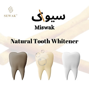 SEWAK Meswak Siwak Miswak Sticks Stick Al Muslim Natural Herbal Vacuum Sealed Arak Peelu Natural Brush Toothbrush (10 Tooth Stick)