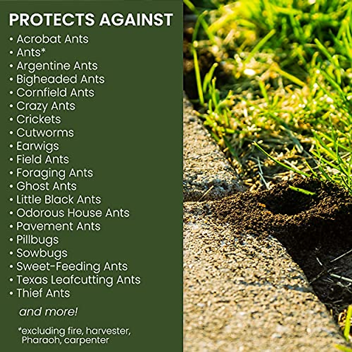 Natria 706710D Ant Barrier Insect Killer for Organic Gardening, Granules