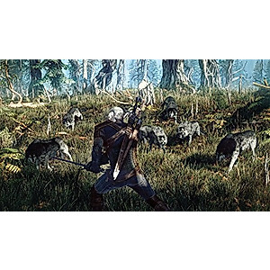 The Witcher: Wild Hunt (Comic Bundle) - PlayStation 4