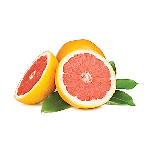 HIC Kitchen Squirtfree Serrated Twin-Blade Grapefruit Sectioning Knife,Silver