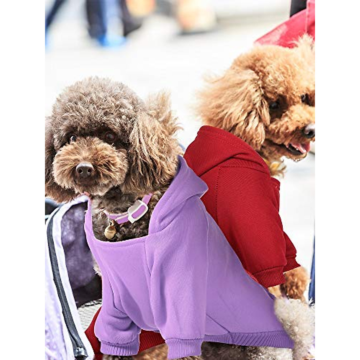 Syhood 4 Pieces Small Dog Sweaters Dog Hoodie Clothes with Hat for Small Dogs Chihuahua Clothes with Pocket Puppy Pet Winter Clothes Warm Hoodies Coat Sweater Shirt(M)