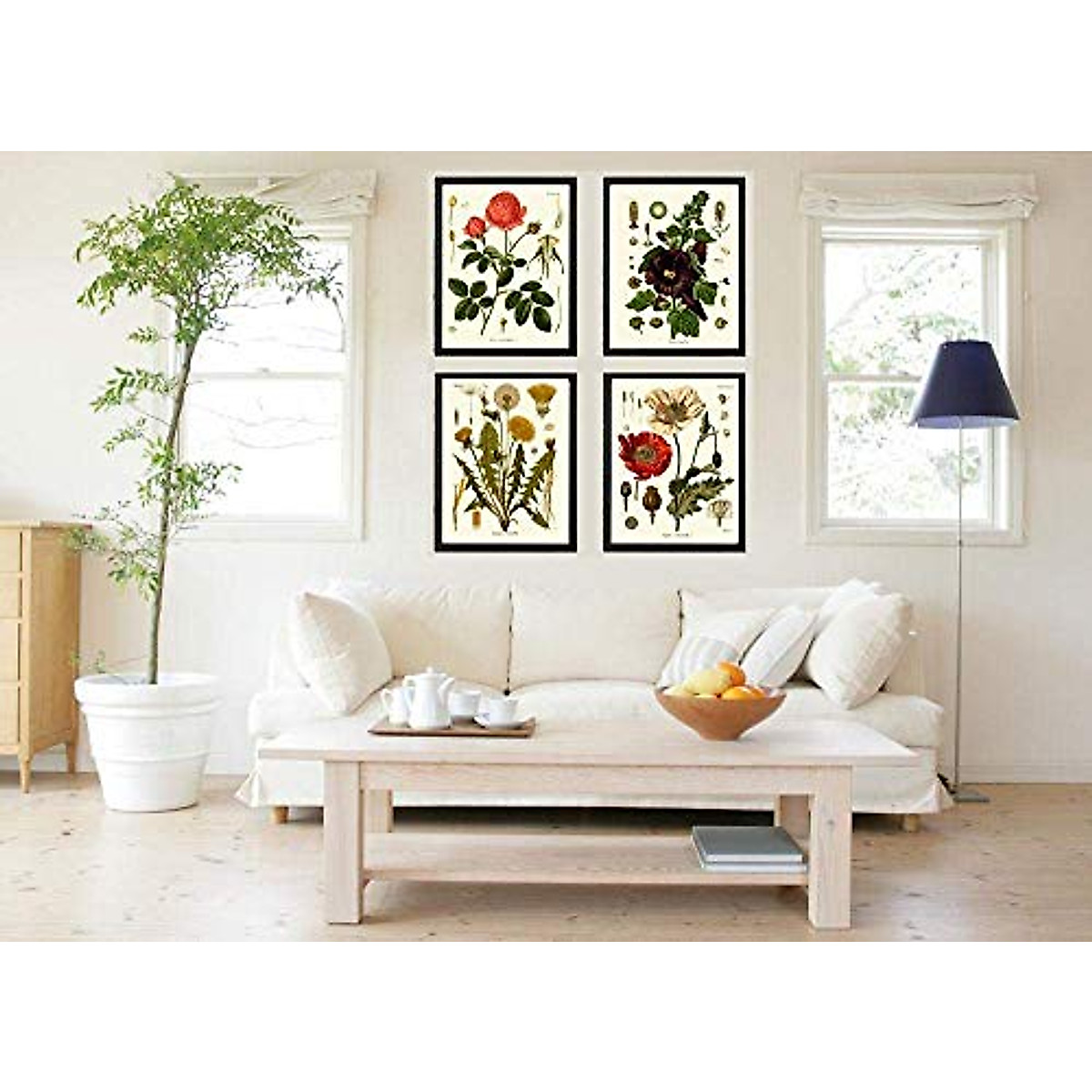 Botanical Flower Set of 4 Art Prints Antique Beautiful Red Rose Poppy Large Black Hollyhock Dandelion Spring Summer Garden Home Room Wall Decor Unframed KOH