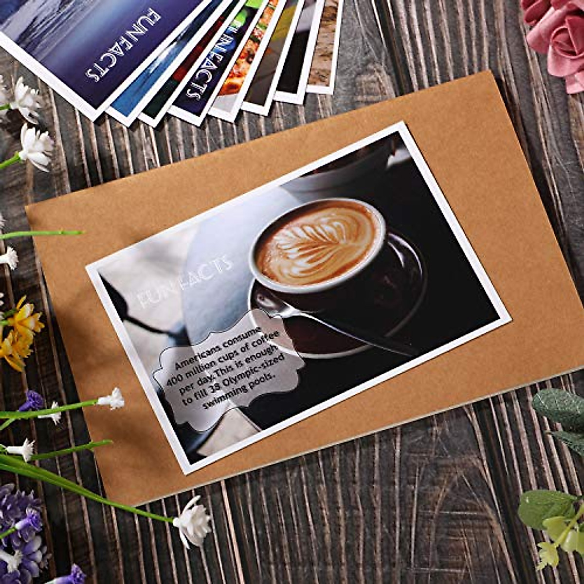 Zonon 60 Pieces Fun Facts Seasonal Landscapes Postcard Assorted Animal Fruits Scenic Spots Theme Postcards Funny Postcards for Kid Teacher, 4 x 6 Inches (Fun Facts)