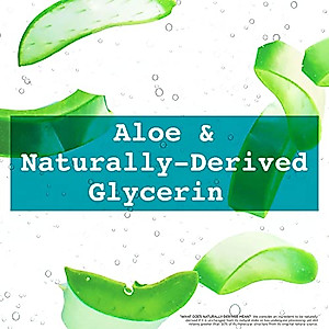 Carol’s Daughter Wash Day Delight Detangling Jelly-To-Cream Conditioner with Glycerin and Aloe, Paraben-Free for Moisture, Hydration and Shine, Moisturizing, Curly Hair , 20 Oz