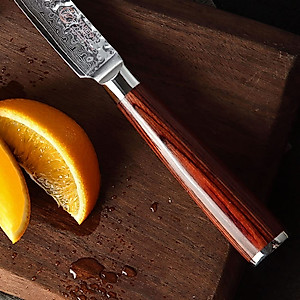 YARENH Kitchen Knife,Fruit Knife 5 inch,Damascus Steel Blade,High Carbon,67 Layers,Full Tang,Kitchen Utility Knife for Professional Chef,Pakka Wood Handle,Gift Box Packaging, HYZ-Series