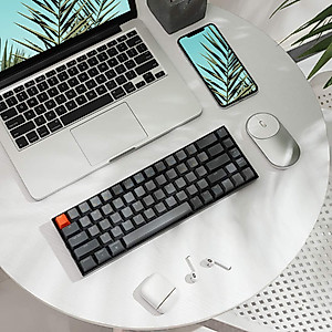 Keychron K6 Hot Swappable Wireless Bluetooth 5.1/Wired Mechanical Gaming Keyboard, 65% Compact 68-Key RGB LED Backlight/Gateron G Pro Blue Switch/Rechargeable Battery Compatible with Mac Windows