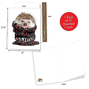 The Best Card Company - 10 Blank Animal Cards Boxed (4 x 5.12 Inch) - Assorted Pets, Zoo, Wildlife Cards for Kids - Cards from the Hedge M6541OCB