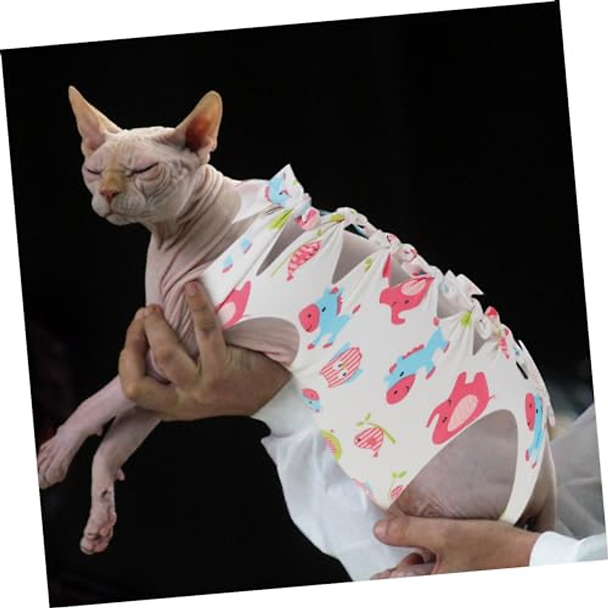 Toddmomy 3pcs Clothes Suit Dog Collar Cat Collar Chocker Dreses Puppy Cats After Surgery Collar Small Cat Collar Soft Cone of - Licking Circle Kitten Collars - Bite Lick Pet