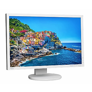 24IN WS LCD 1920X1200 PA243W DP