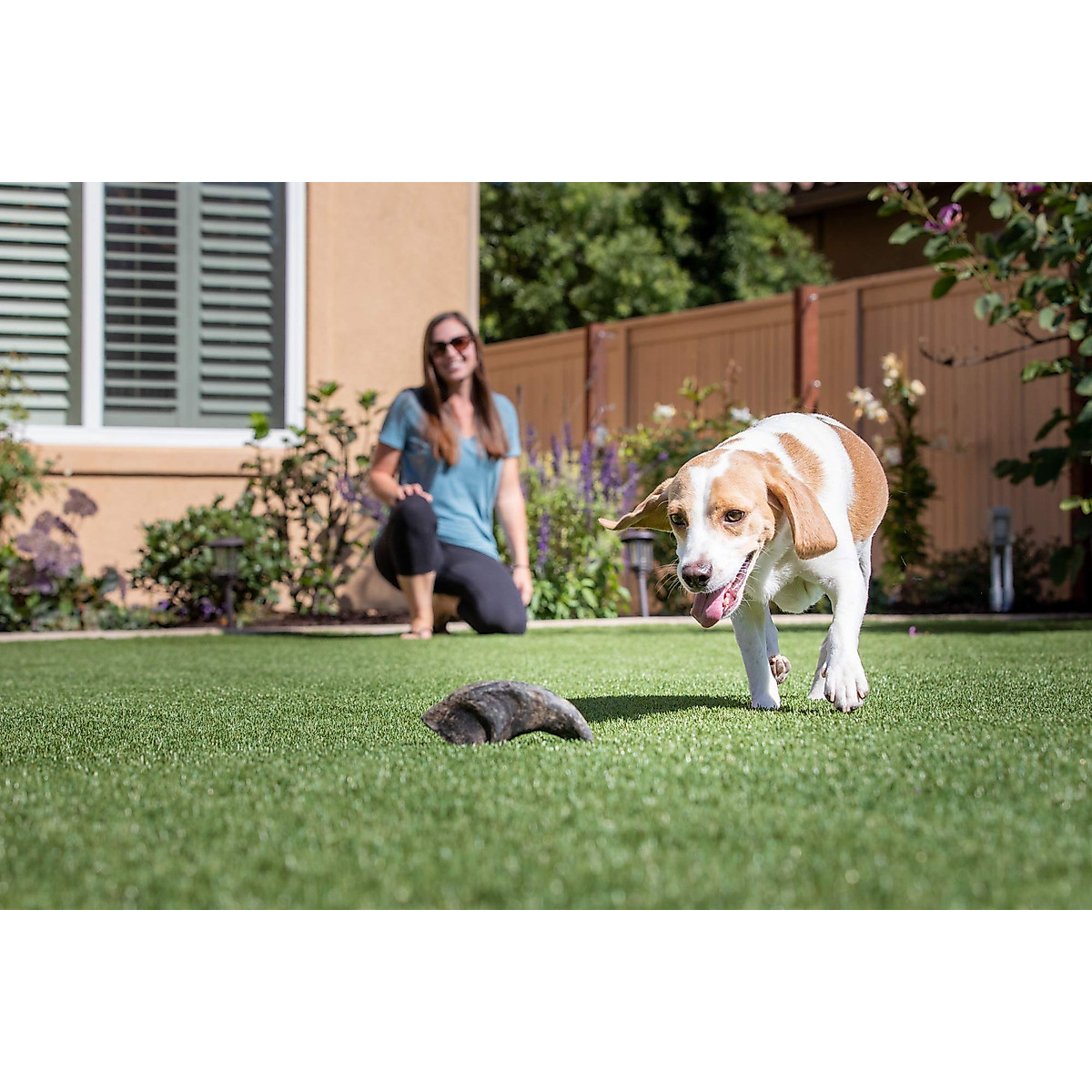 Wild Eats Water Buffalo Horn Dog Chews (All Natural, Single Source Protein, Grain Free Dog Treat, Dog Chews for Power Chewers) 2 Pack Small