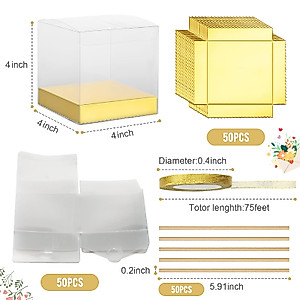 50 Sets 4 x 4 x 4 Inches Clear Candy Apple Boxes with Hole, Base, Sticks and Ribbons Transparent Candy Apple Boxes PET Caramel Apple Box Plastic Gift Boxes for Chocolate Apples Party Supplies (Gold)