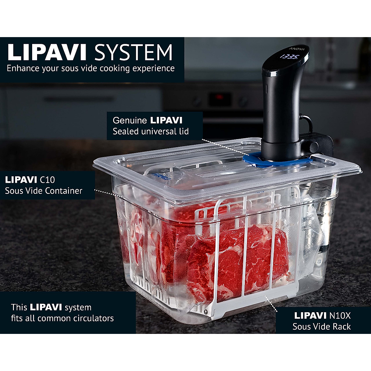 LIPAVI Sous Vide System Model NXC15-UNIR - with C15 Container, N15X Rack and an Universal lid - fits virtually any sous vide machine up to 2.755 inches (70mm) in diameter